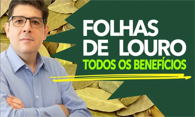 Chá de Louro: 12 Benefícios Comprovados e Como Usar Esse Segredo ...